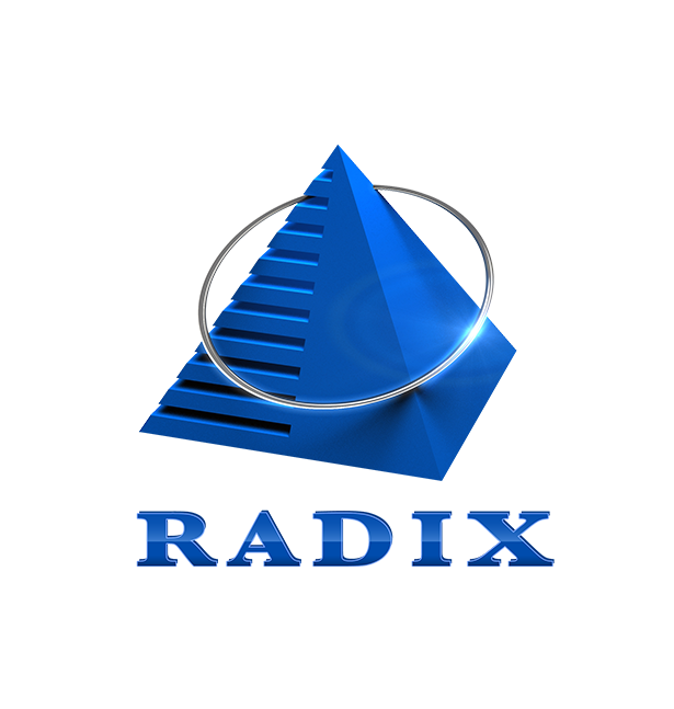 About Radixweb | Software Company Overview - Radixweb