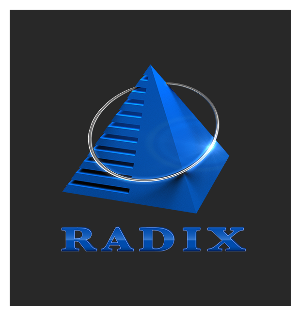 About Radixweb | Software Company Overview - Radixweb