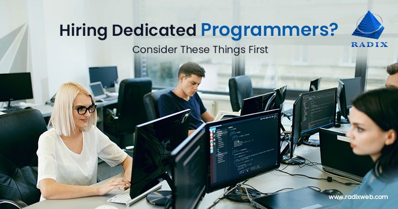 Software Development | Software Development Outsourcing - Radixweb Insights